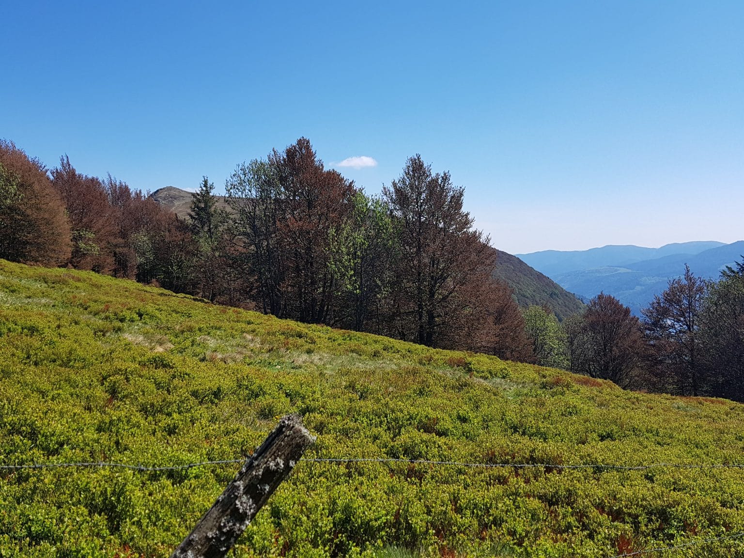 Sommercamping in den Vogesen | 4-Sterne Campingplatz Belle Hutte