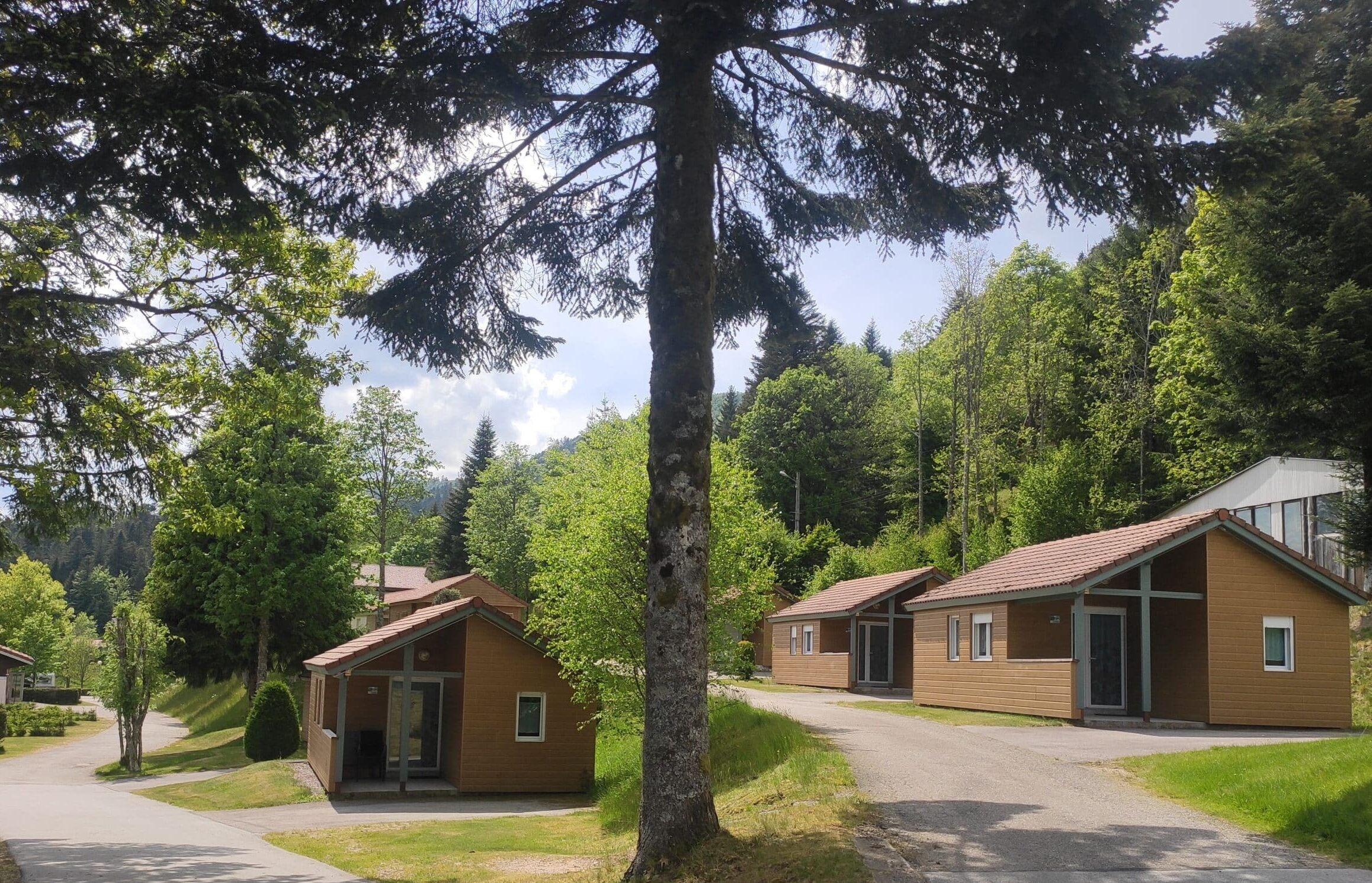 Camping Belle Hutte - Accessible Chalet 35 m² 2 bedrooms